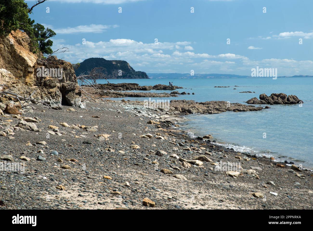 A rocky beach in Amodeo bay on the Coromandel peninsula, north island ...