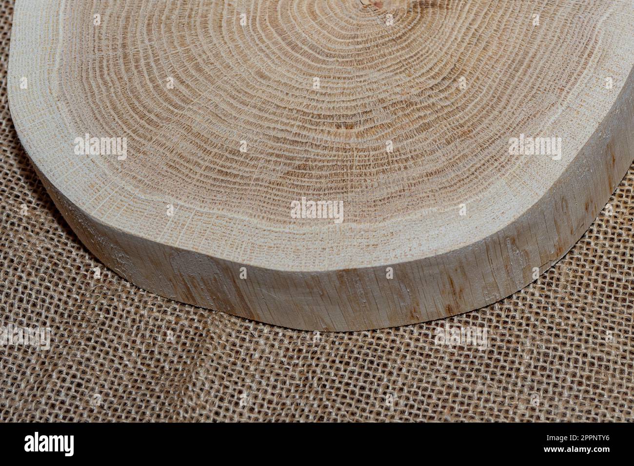 Wooden stump, cross section, cut wood tree trunk slice. Wooden serving ...
