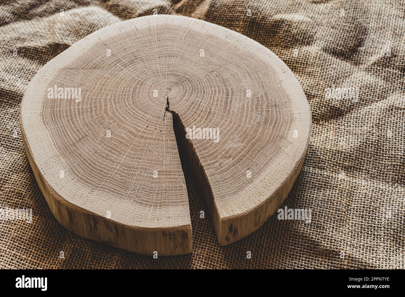 Wooden stump, cross section, cut wood tree trunk slice. Wooden serving ...