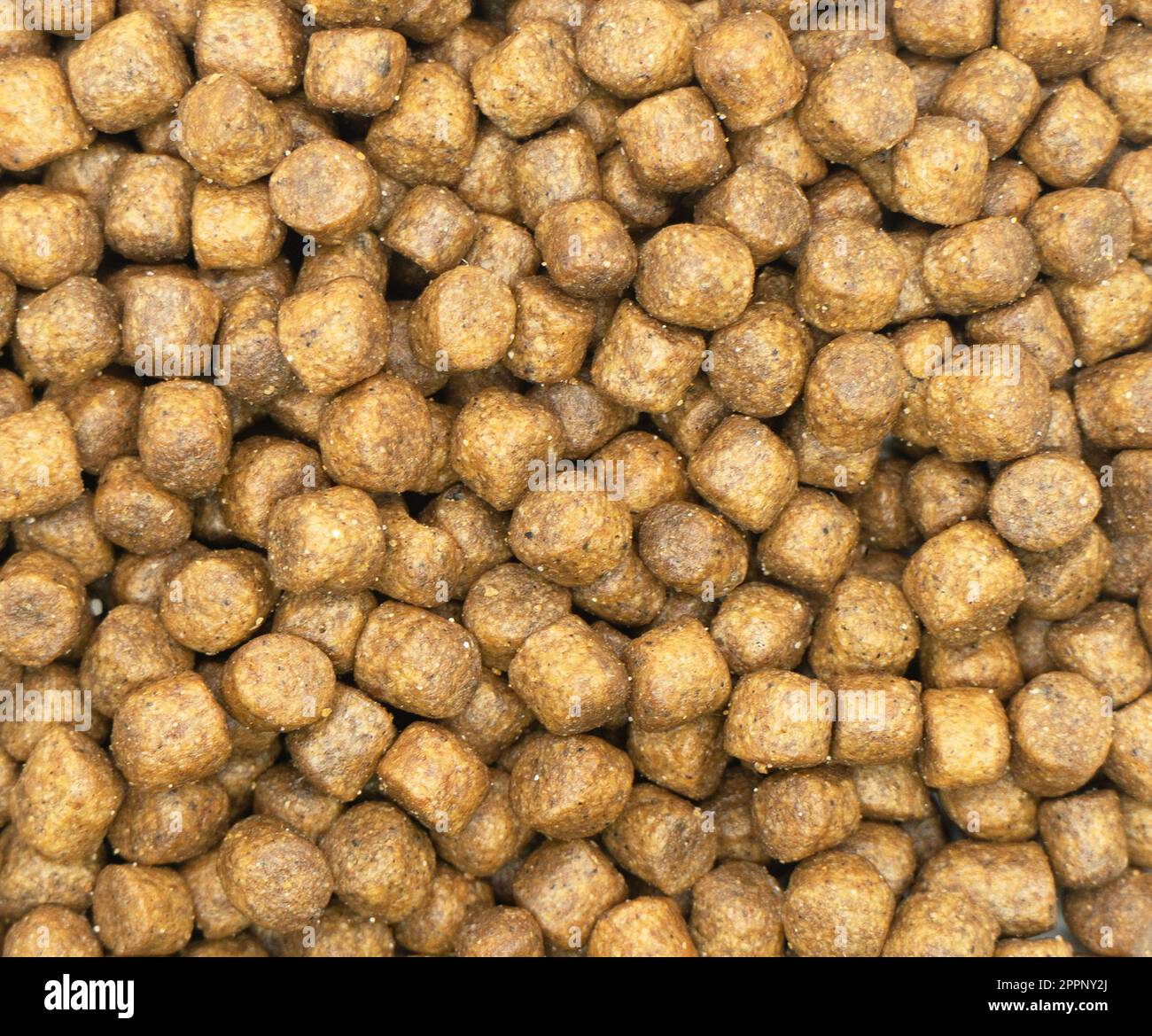 Dry pet food texture background. Food for cats and dogs pattern. Pile ...