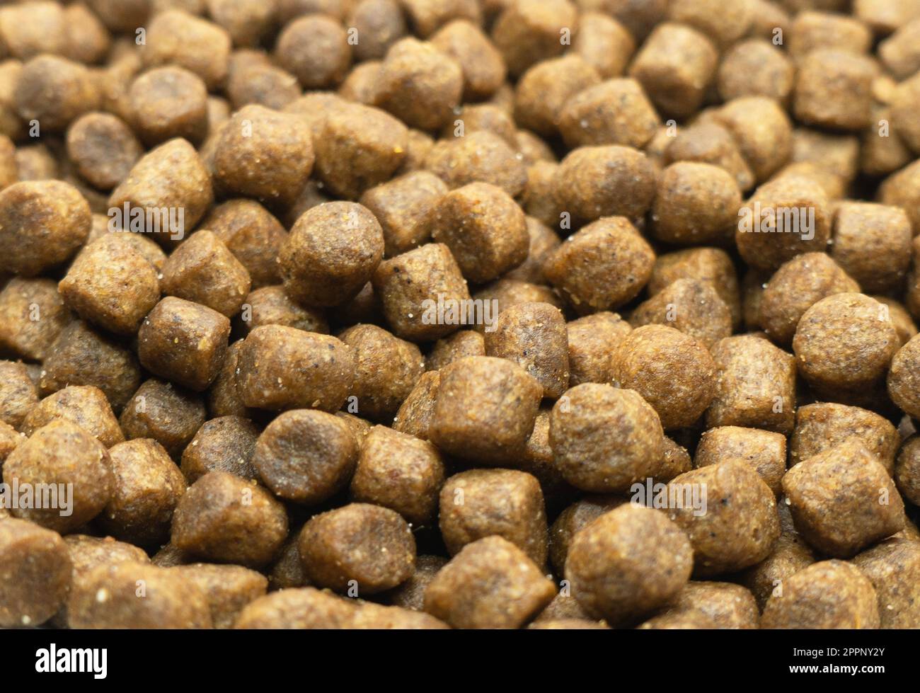 Dry pet food texture background. Food for cats and dogs pattern. Pile ...