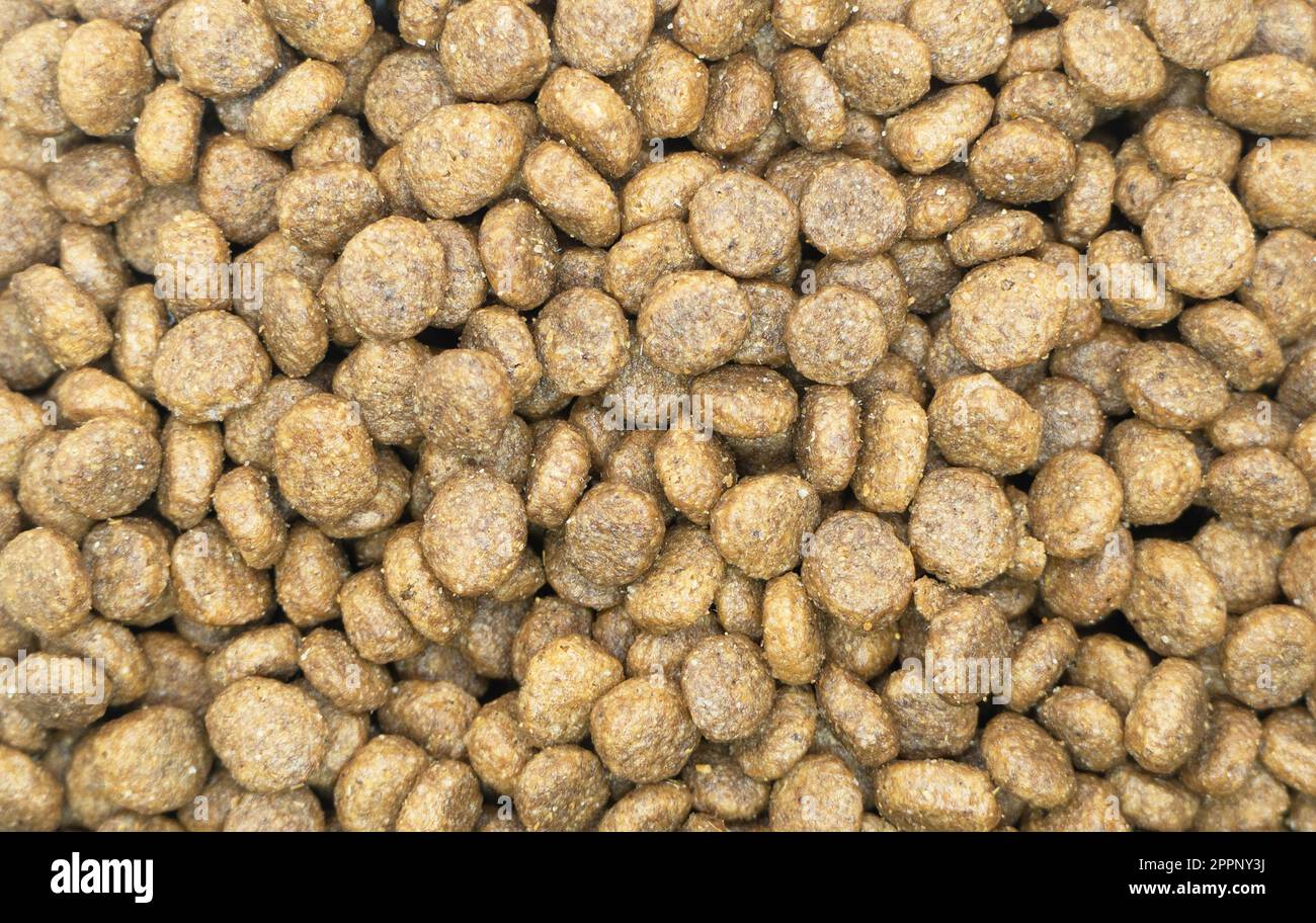 Dry pet food texture background. Food for cats and dogs pattern. Pile ...