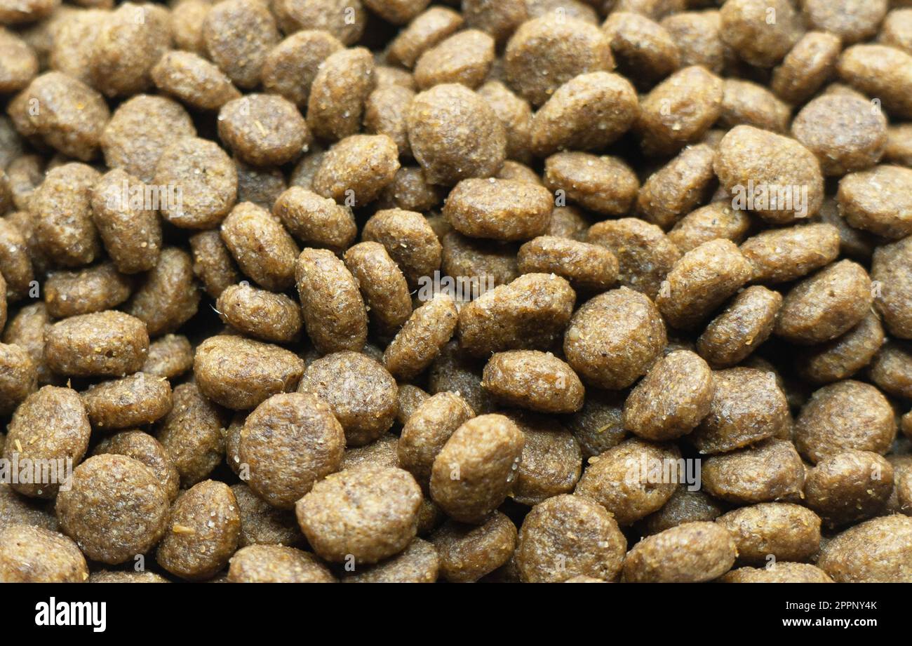 Dry pet food texture background. Food for cats and dogs pattern. Pile ...