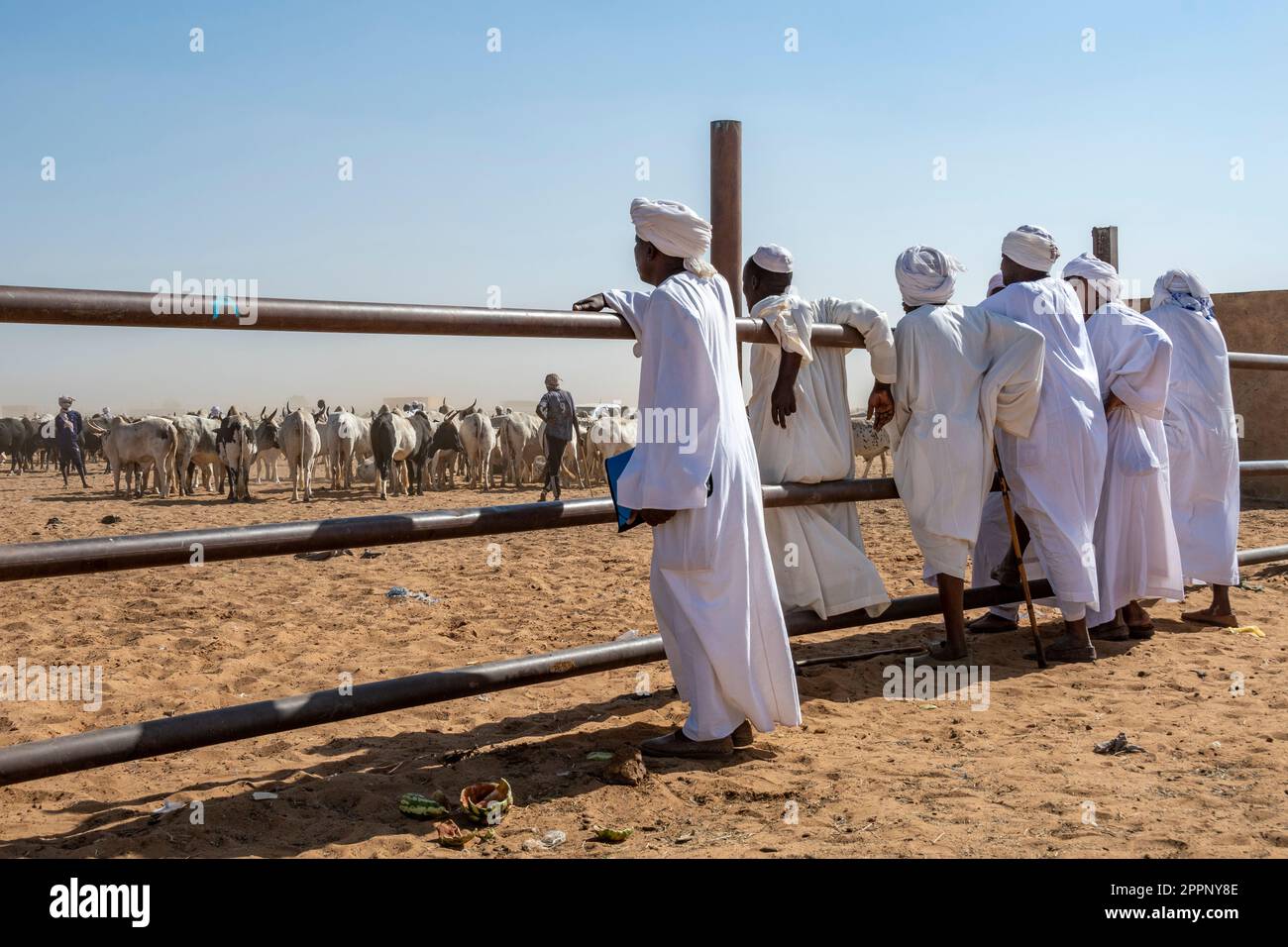 Al moheli hi-res stock photography and images - Alamy