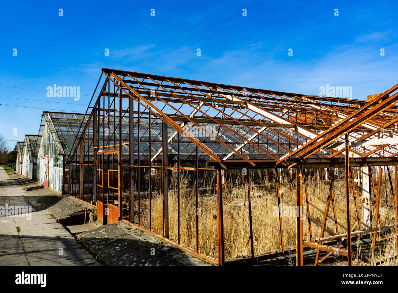 Greenhouse complex in an abandoned state. Old dilapidated greenhouses ...
