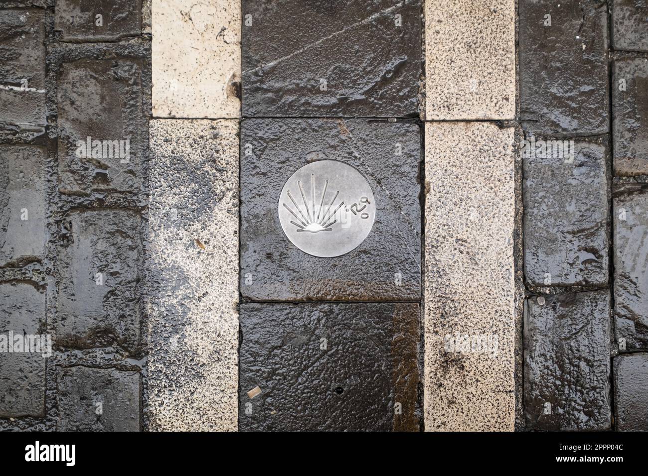Marker denoting the route of the Camino de Santiago on a pavement in ...