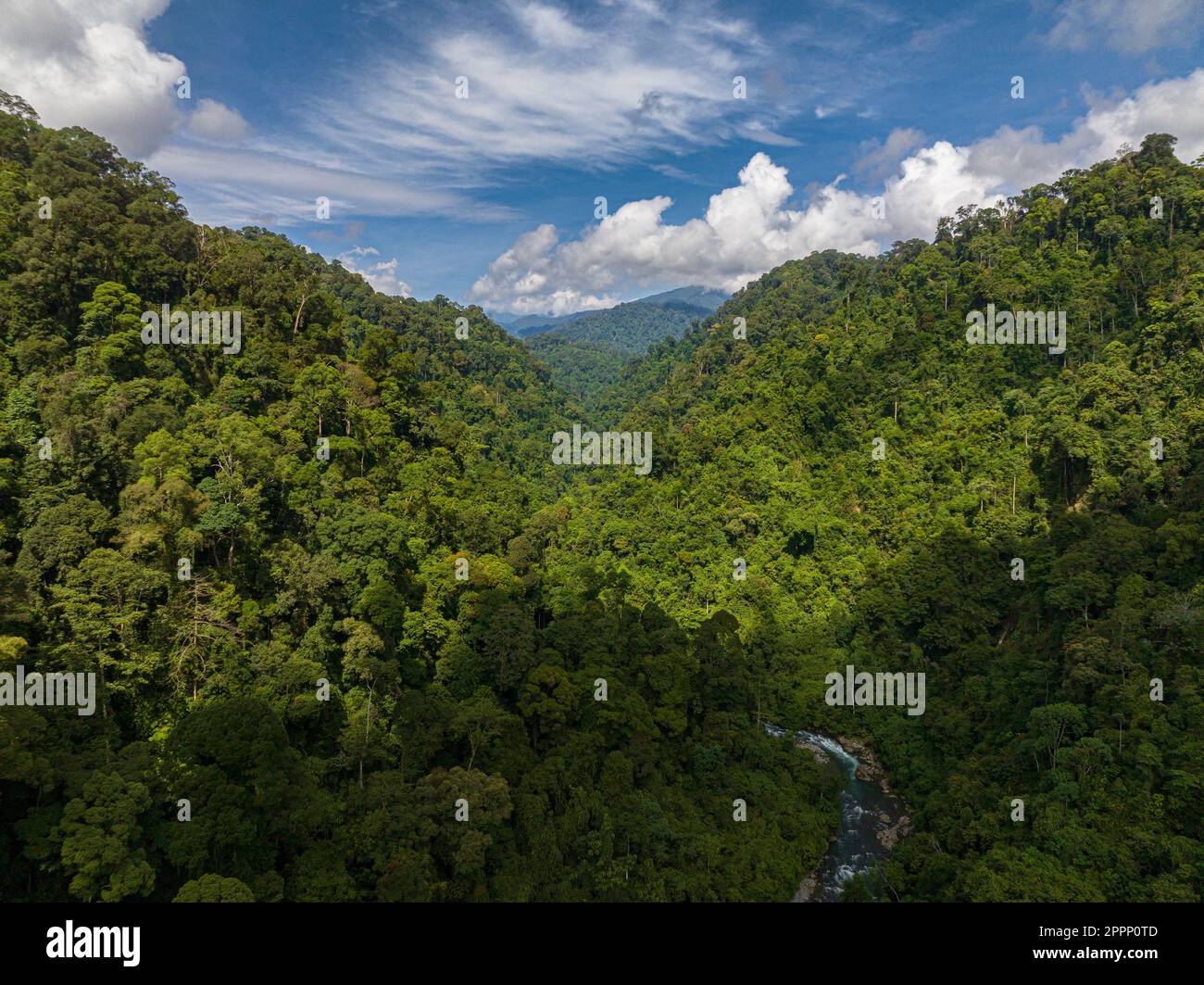 Mountain range slopes rainforest sumatra hi-res stock photography and ...