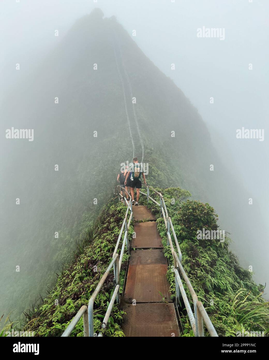 Man Hiking Stairway to Heaven (Haiku Stairs) on Oahu, Hawaii. High ...