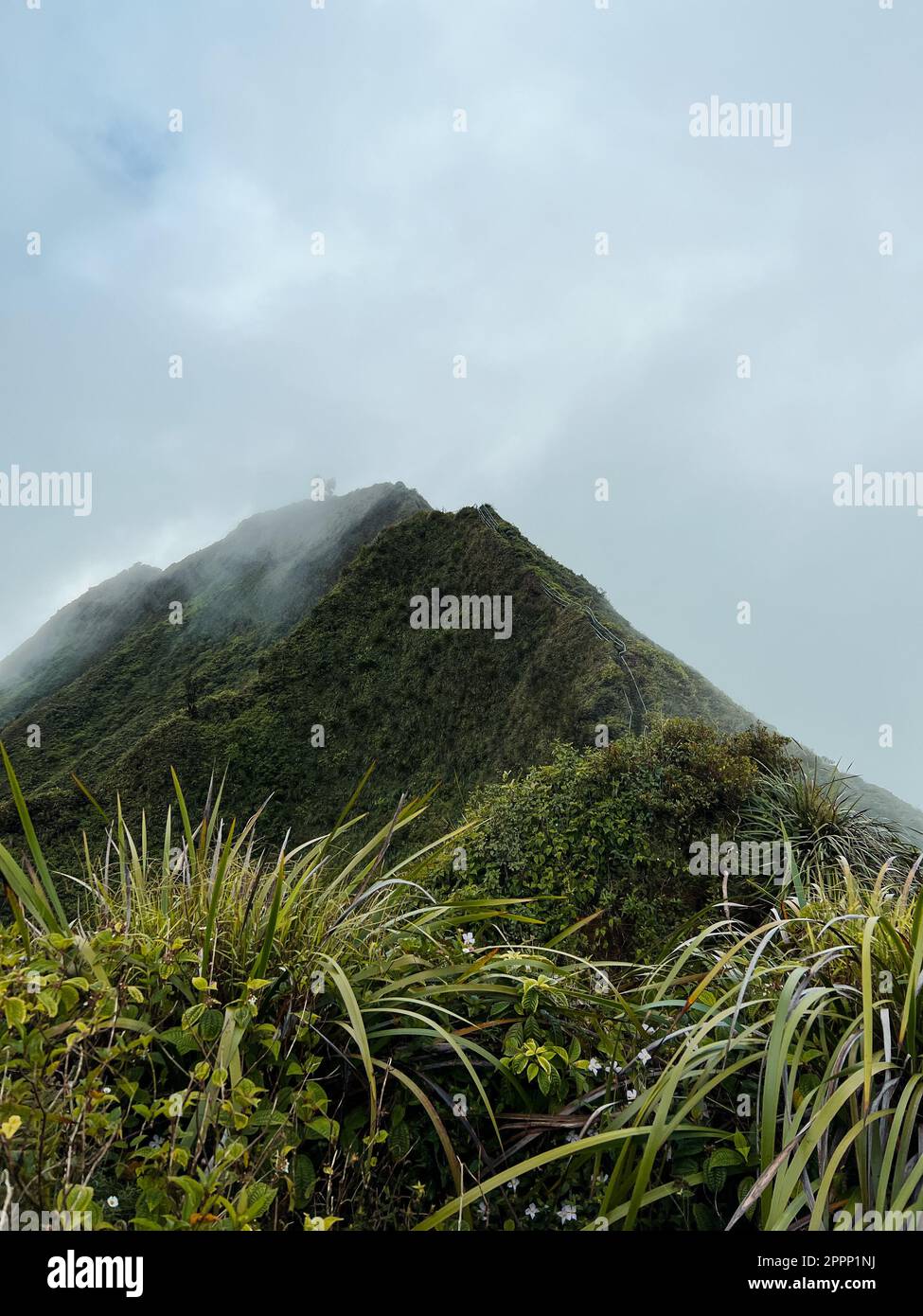Man Hiking Stairway to Heaven (Haiku Stairs) on Oahu, Hawaii. High ...
