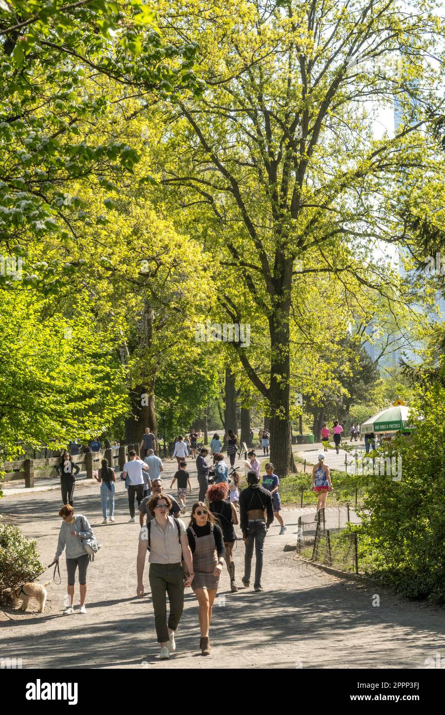 Springtime Central Park is a beautiful urban oasis in New York City ...