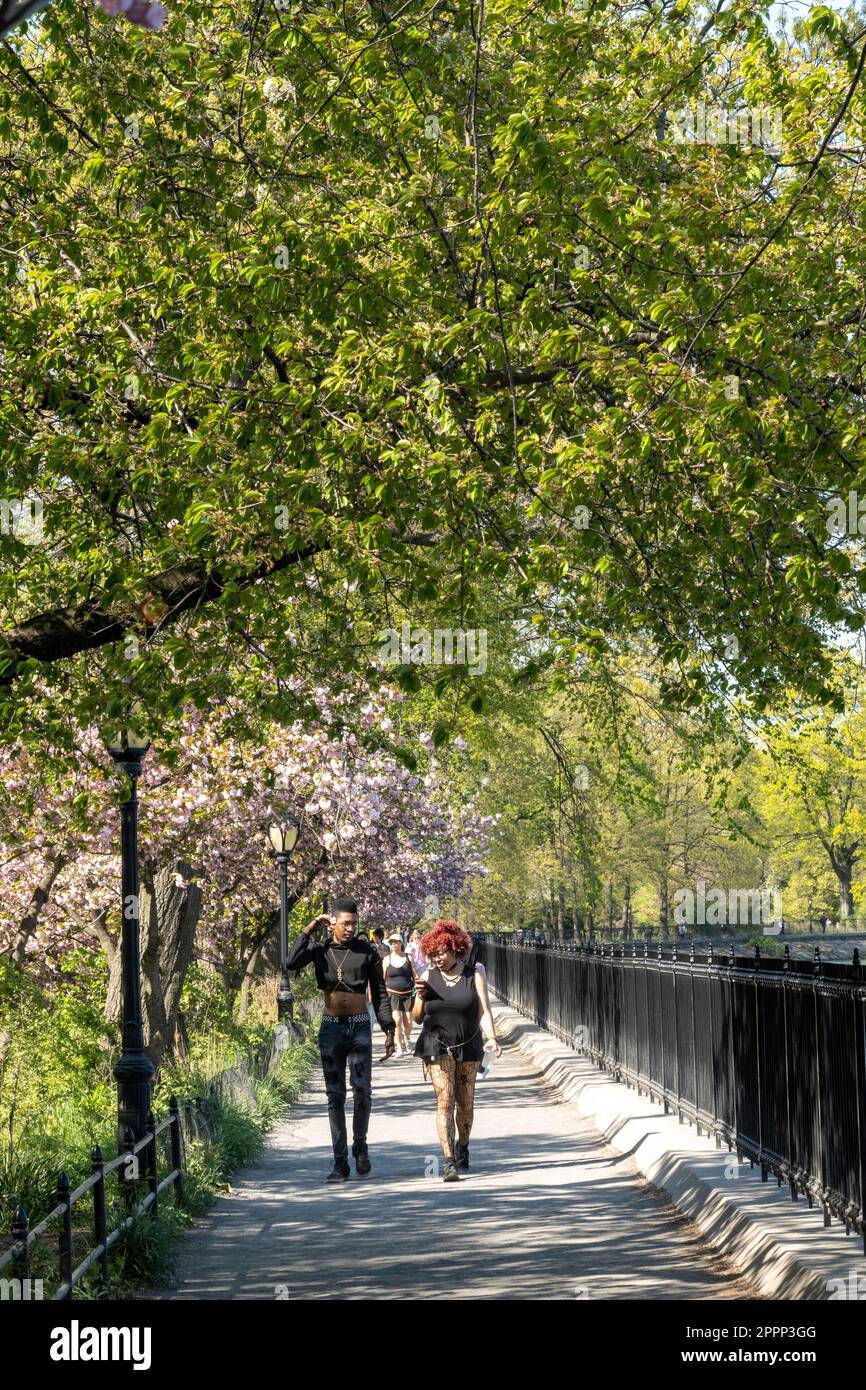 Springtime Central Park is a beautiful urban oasis in New York City ...