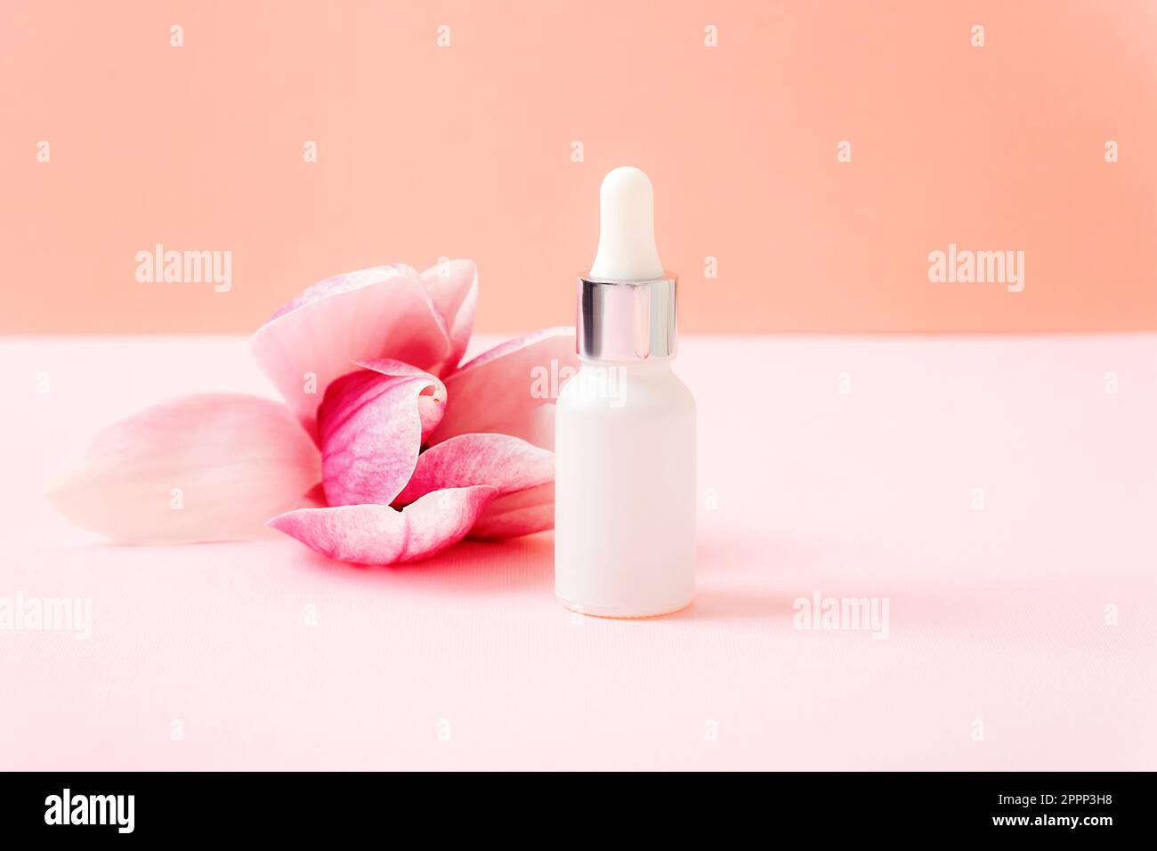 Face serum and magnolia flower on pink background. Skin care, natural ...