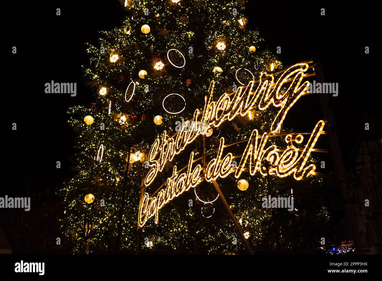 English tree of the year hi-res stock photography and images - Alamy