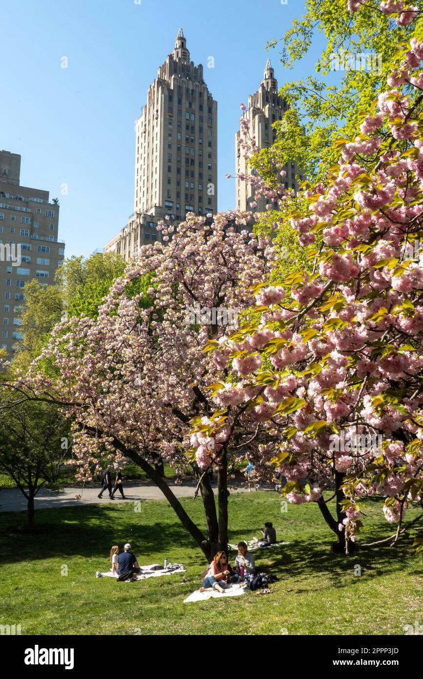 Springtime Central Park is a beautiful urban oasis in New York City ...