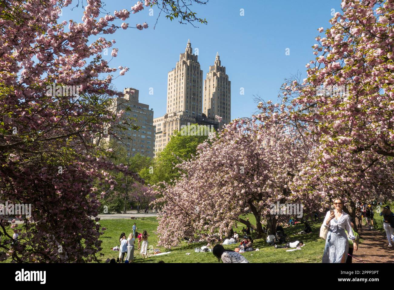 Springtime Central Park is a beautiful urban oasis in New York City ...