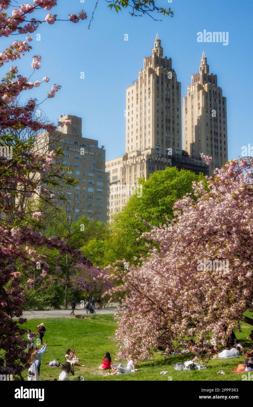 Springtime Central Park is a beautiful urban oasis in New York City ...