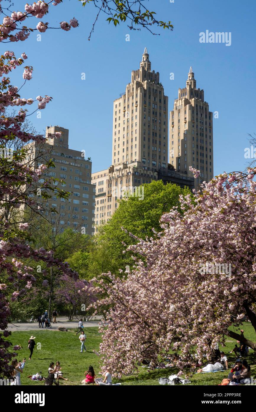 Springtime Central Park is a beautiful urban oasis in New York City ...