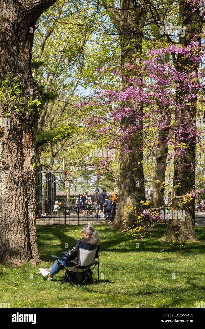 Springtime Central Park is a beautiful urban oasis in New York City ...