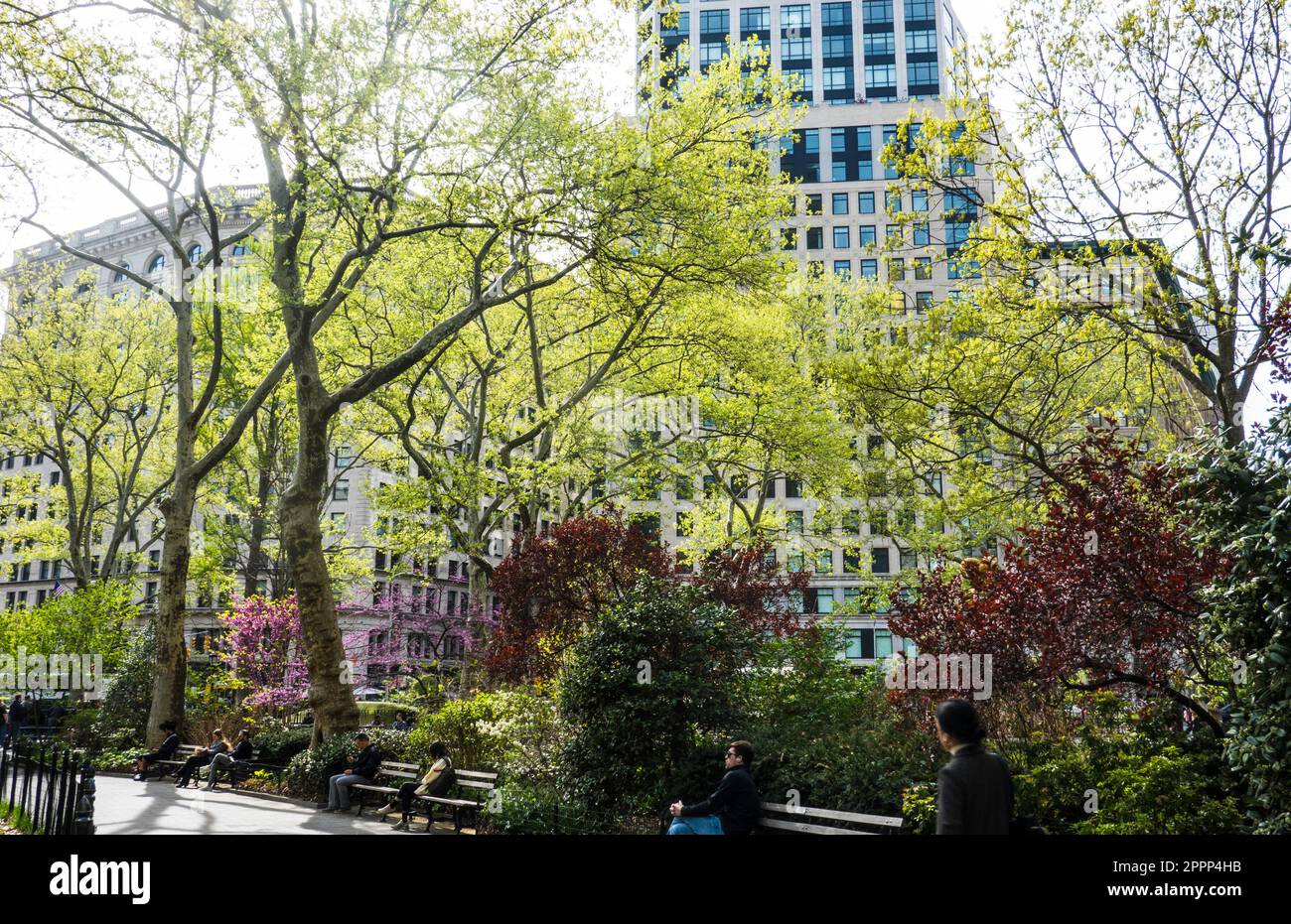 Madison Square Park in springtime is a delightful oasis in Manhattan ...
