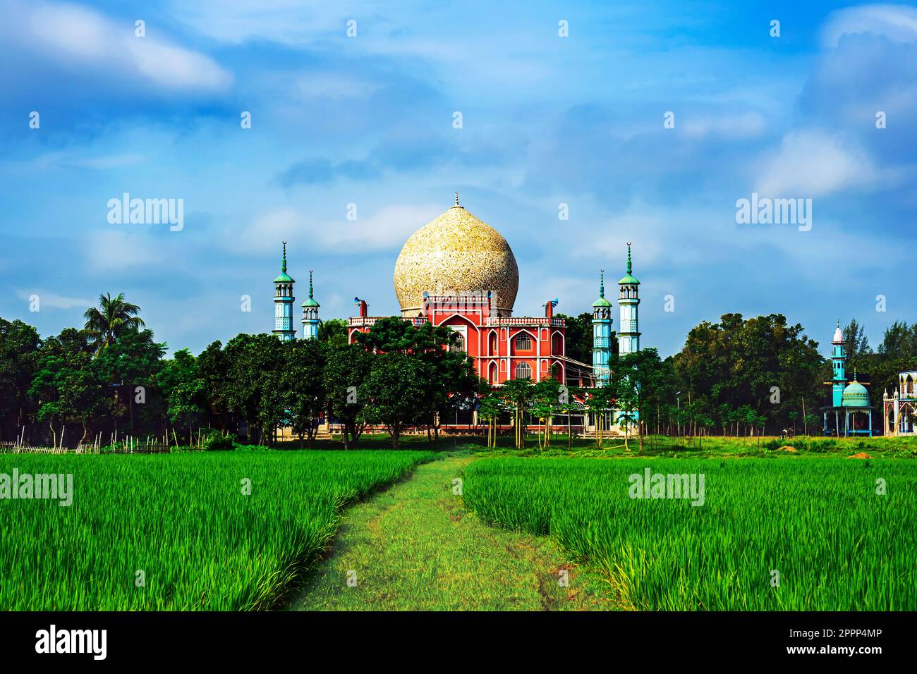 Bokhshia Khanka Sharif Mosque Bangladesh Ishurdi. Mosque against the background of rice field ...
