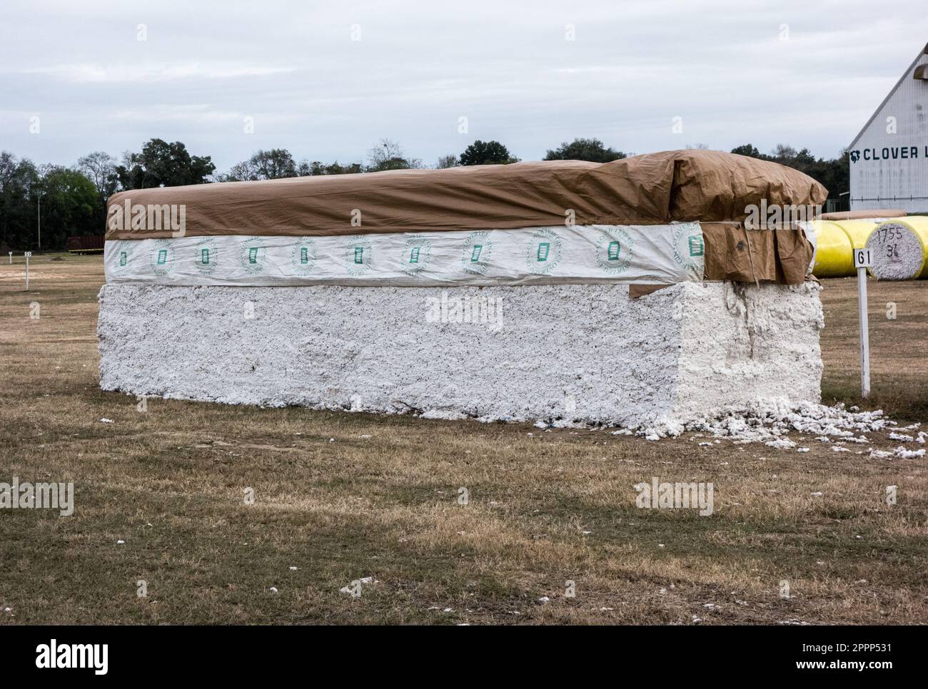 Large rectangular cotton module stored at a cotton Gin to be processed ...