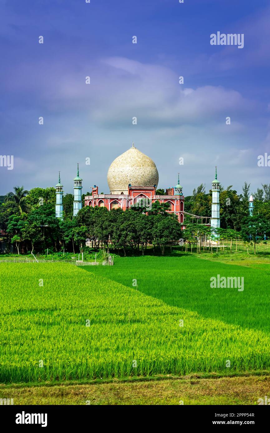 Mosque against the background of rice field Stock Photo - Alamy