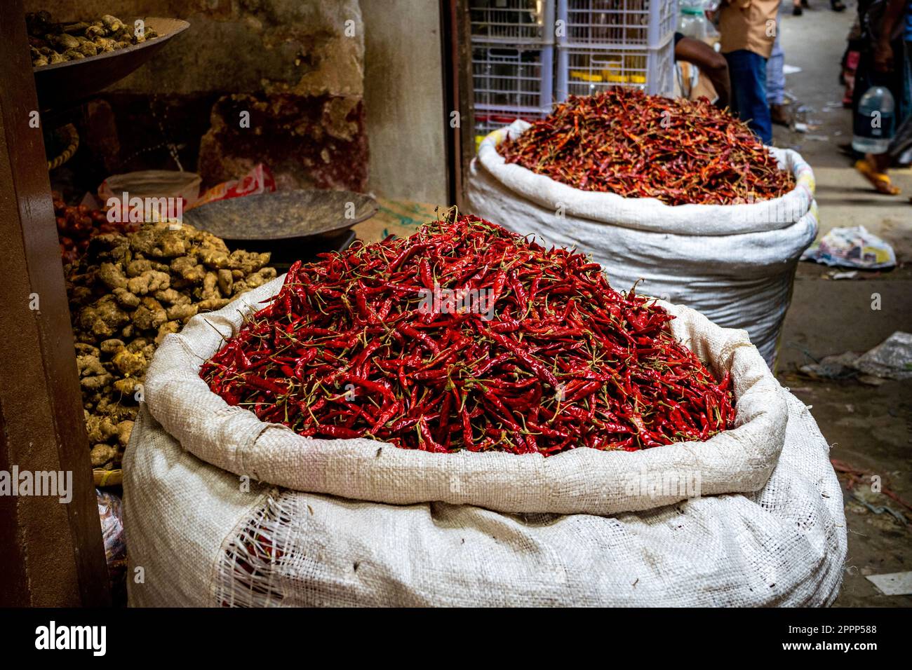 Red hot pepper in large white sack Stock Photo - Alamy