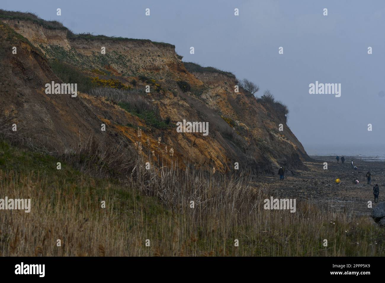 Red crag hi-res stock photography and images - Alamy
