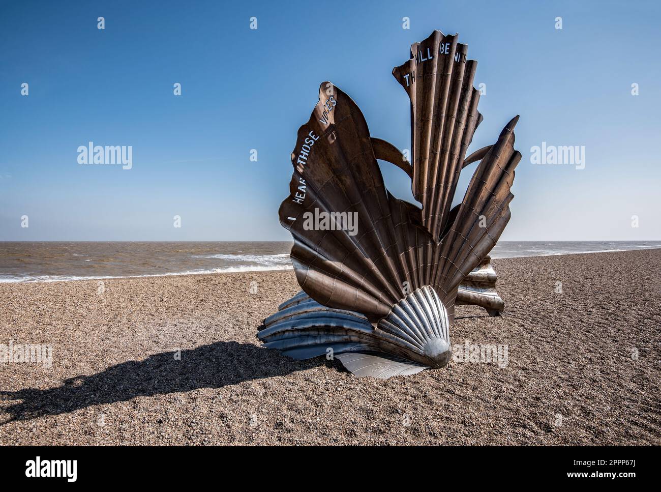 Scallop shell on the beach between Aldeburgh and Thorpeness a striking ...