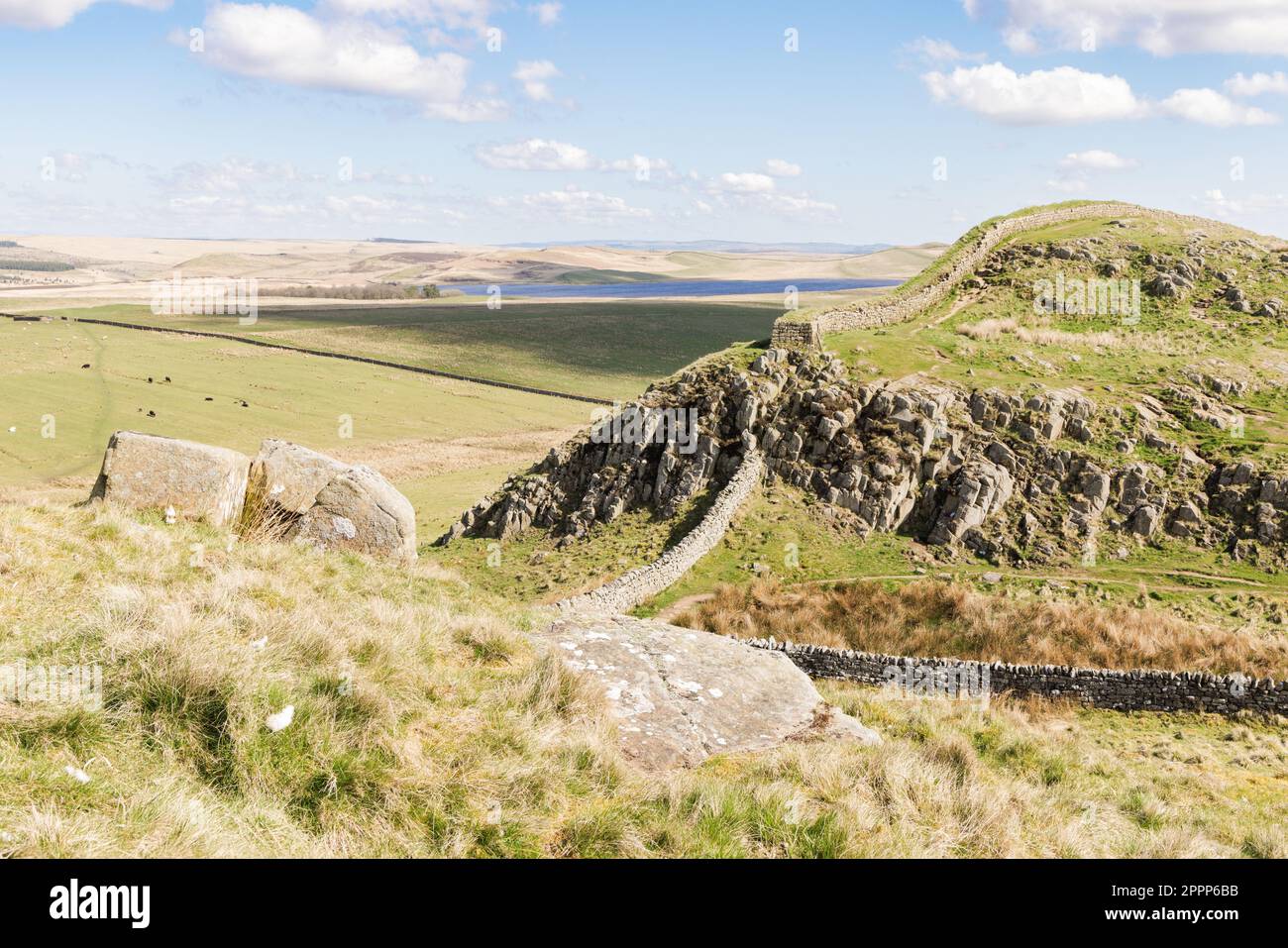 Northumberland, UK - April 2023: Hadrian's Wall following the line of ...