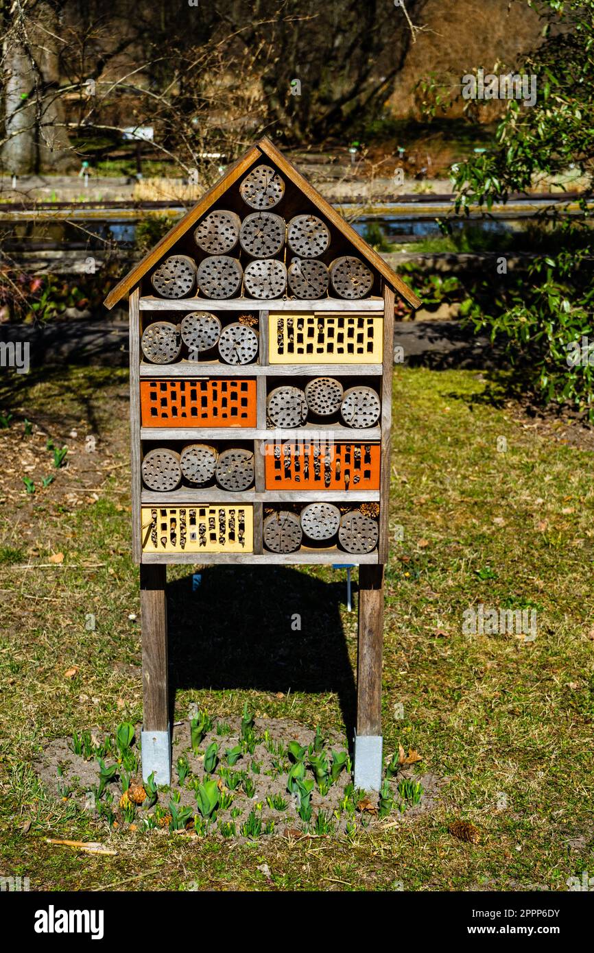Hotel for insects in the park. Insect house Stock Photo - Alamy