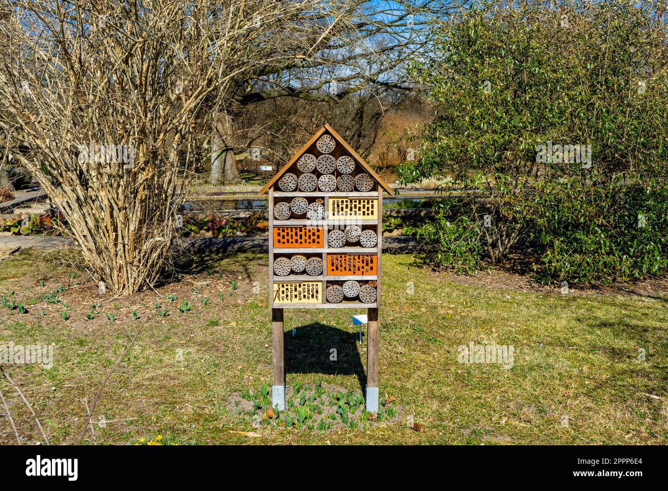 Hotel for insects in the park. Insect house Stock Photo - Alamy