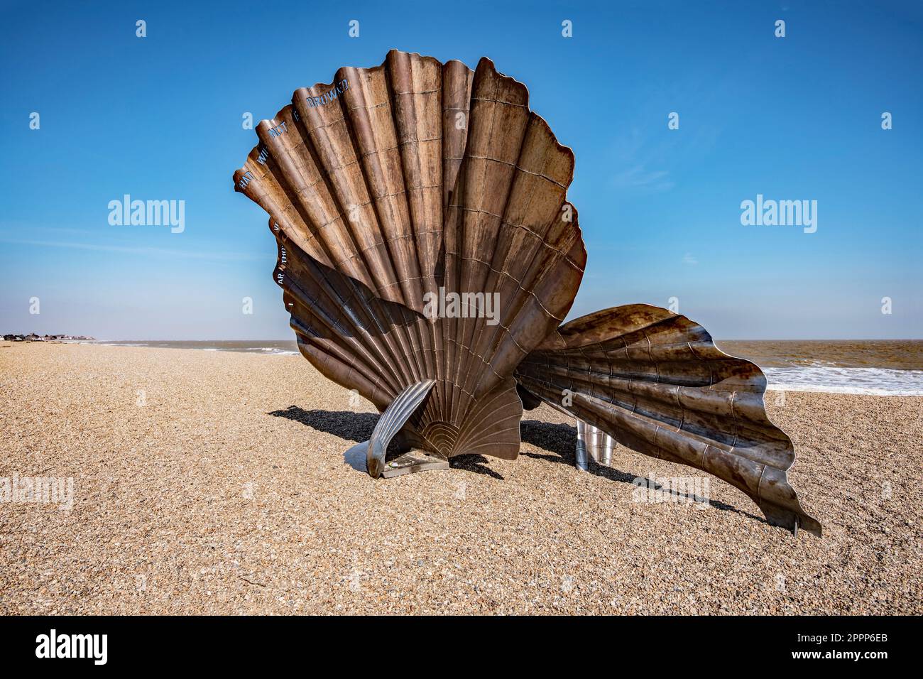 Scallop shell on the beach between Aldeburgh and Thorpeness a striking ...