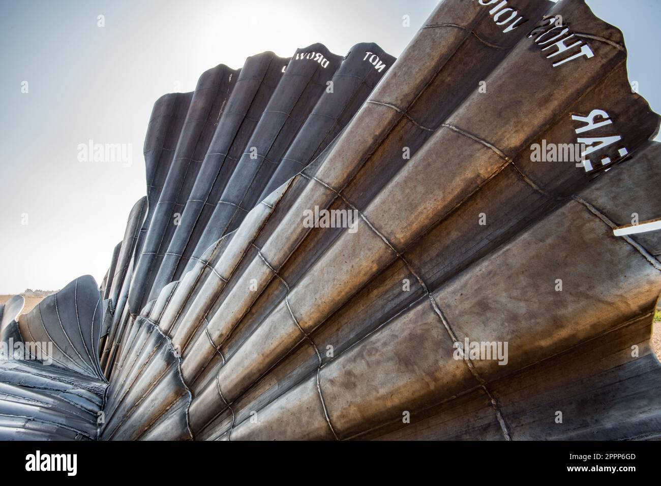 Scallop shell on the beach between Aldeburgh and Thorpeness a striking ...