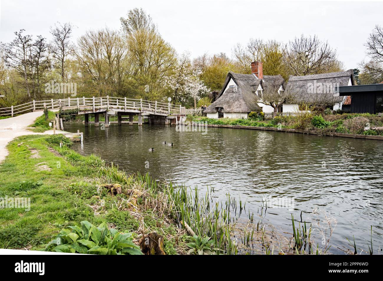 16th century thatched cottage owned by the national trust hi-res stock ...
