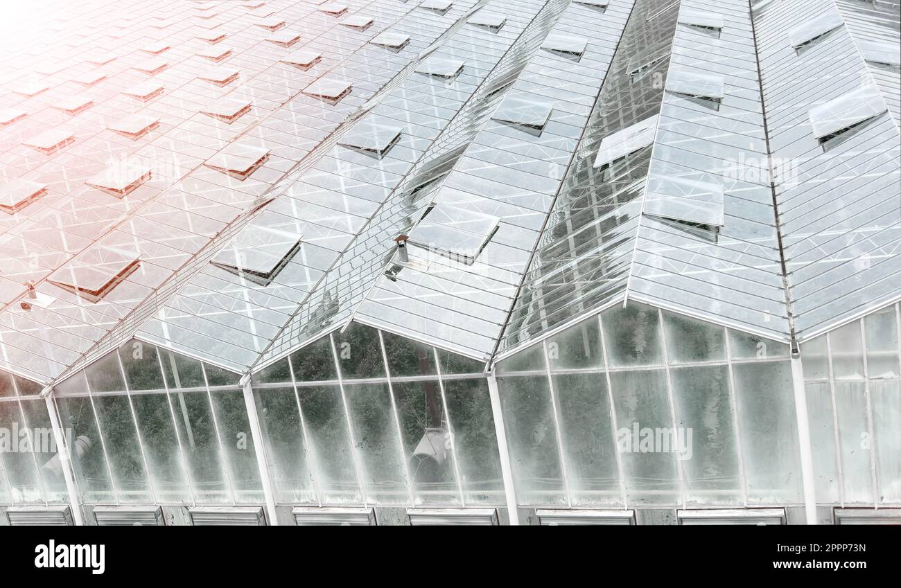 Aerial view industrial agricultural greenhouses for growing. Greenhouse ...