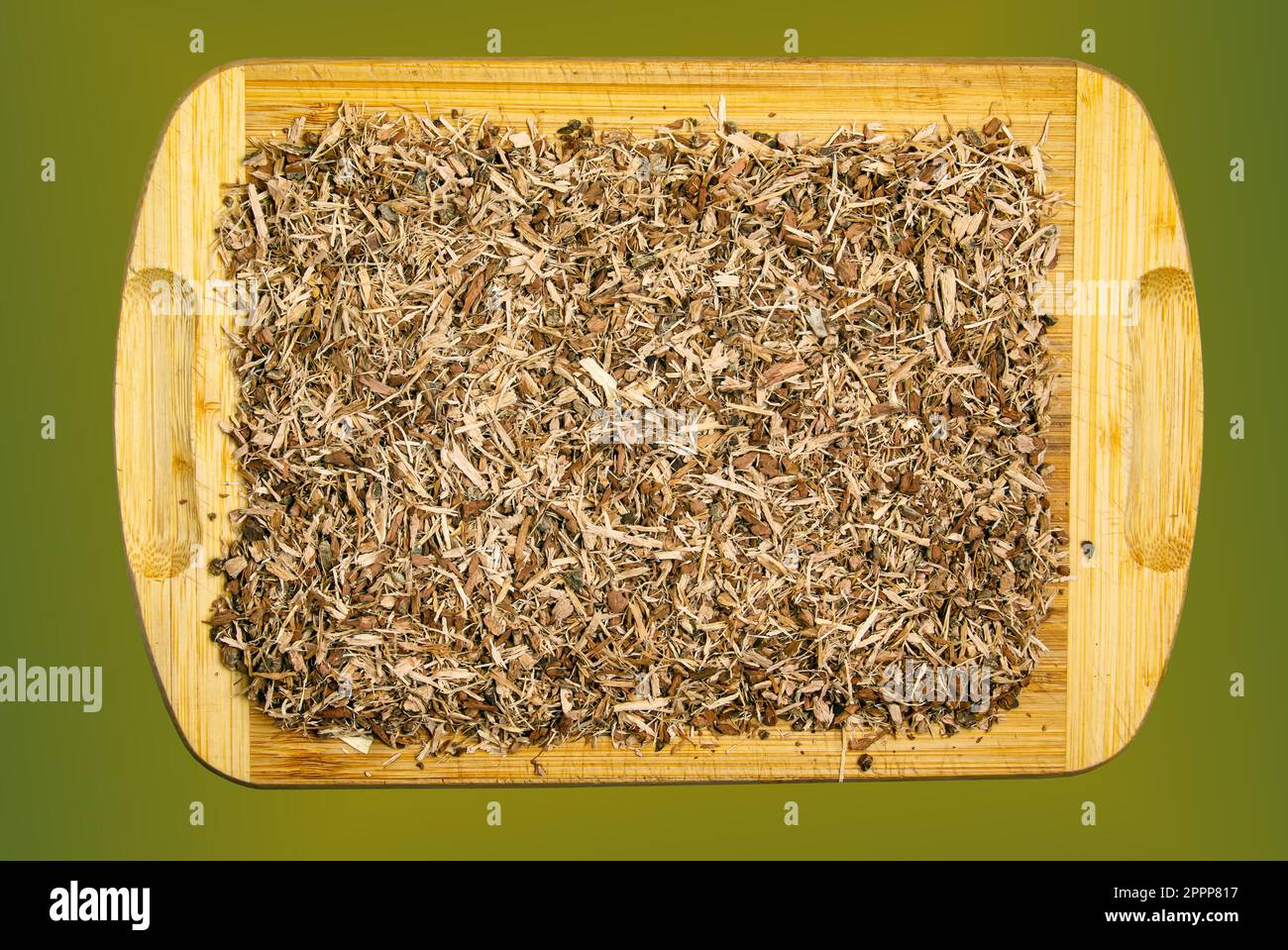 Background made of dried brown oak bark for medical use. Oak bark ...