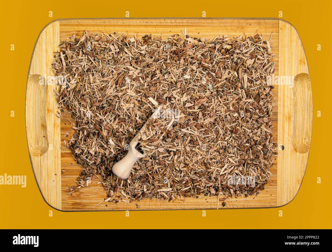 Background made of dried brown oak bark for medical use. Oak bark ...