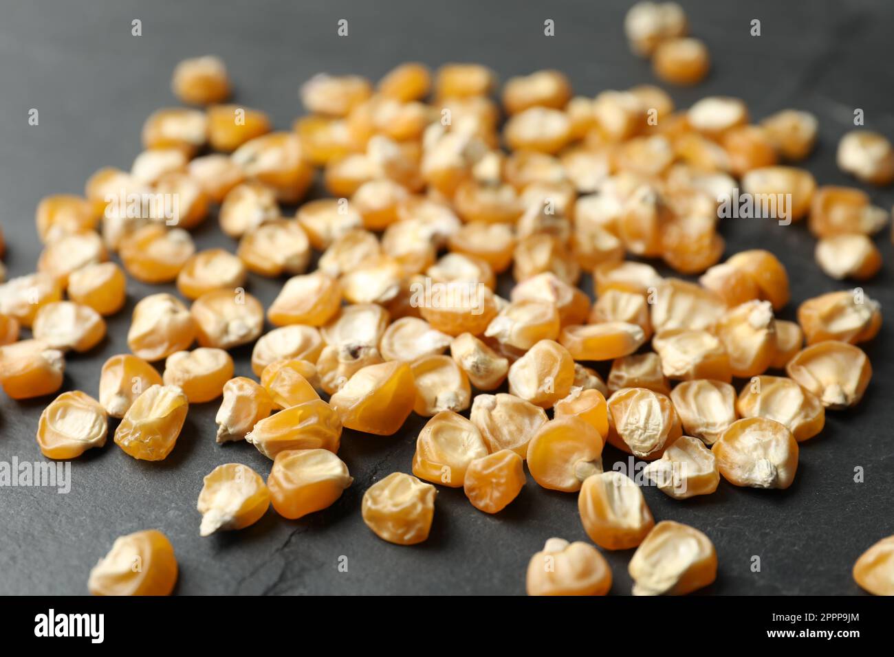 Raw dry corn seeds on grey background, closeup. Vegetable planting ...