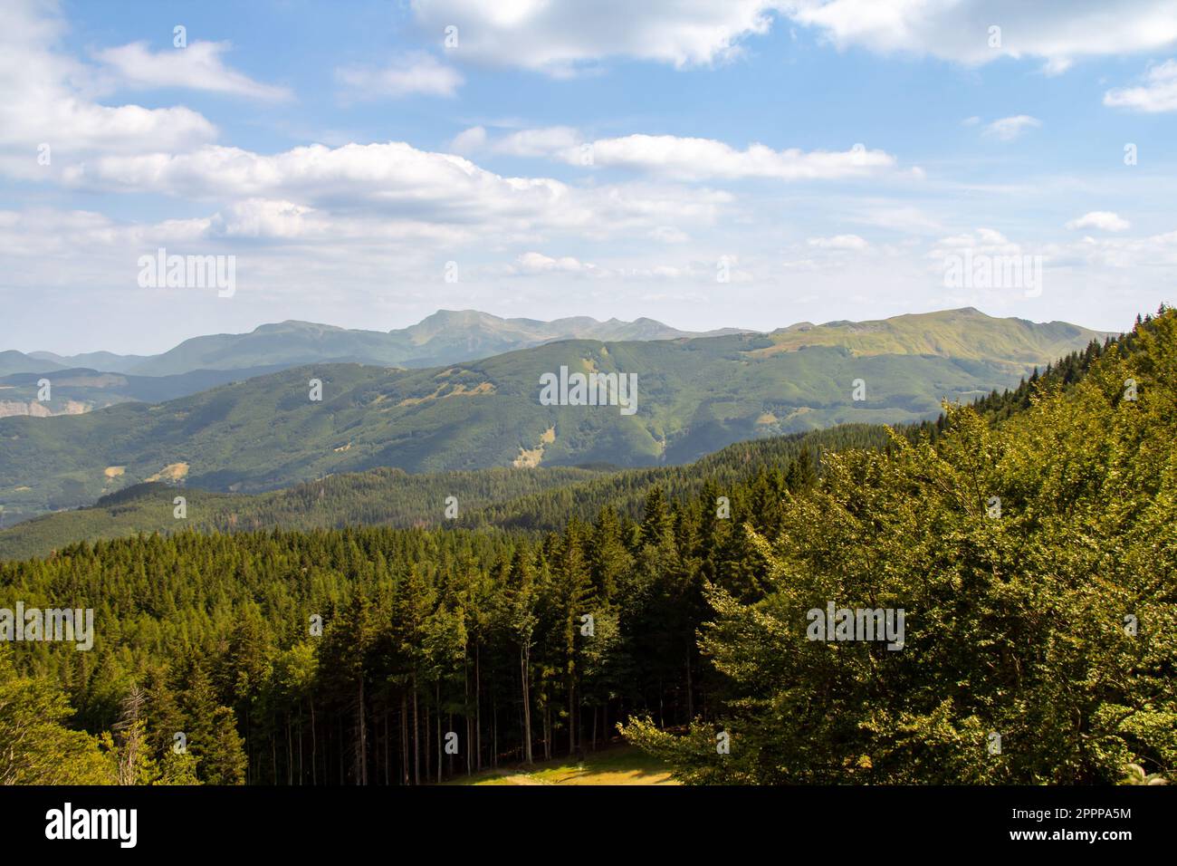 Beautiful panoramic view in summer on Monte Cimone near Lake Ninfa ...
