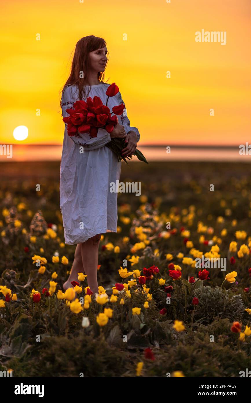 Woman field tulips sunset. Woman against sunset and wild tulip flowers ...