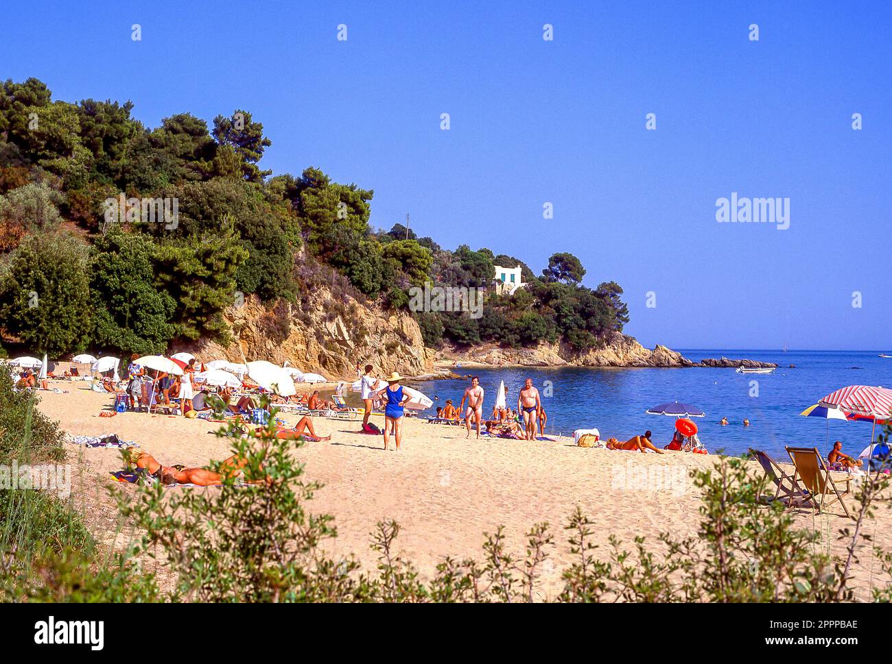 Troulos Beach, Skiathos, The Sporades, Thessaly, Greece Stock Photo - Alamy