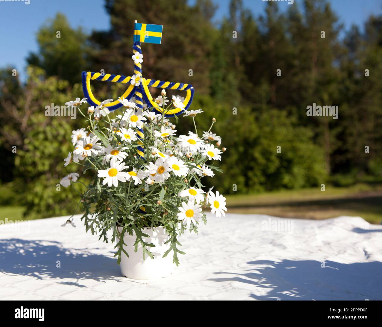 Flowers on a table, wood in the background. Small Swedish Standard on ...