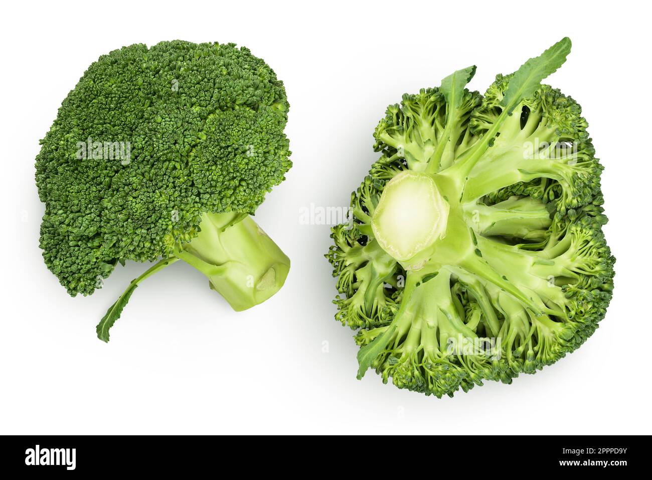 fresh broccoli isolated on white background close-up with full depth of ...