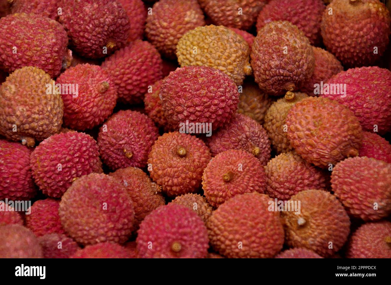 Group of fresh ripe whole red lychee fruit , can be used as background ...