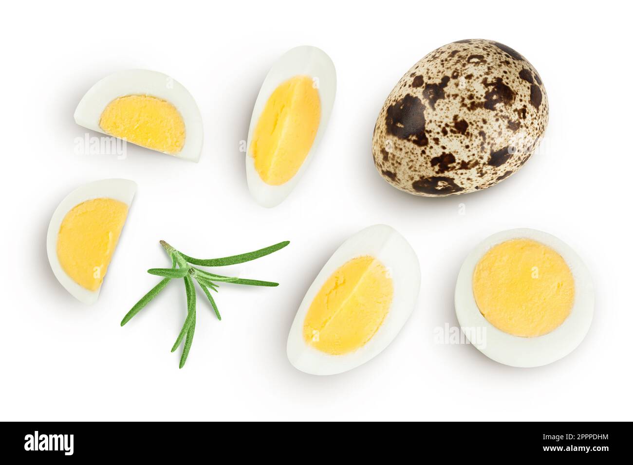 boiled quail egg isolated on white background with full depth of field ...