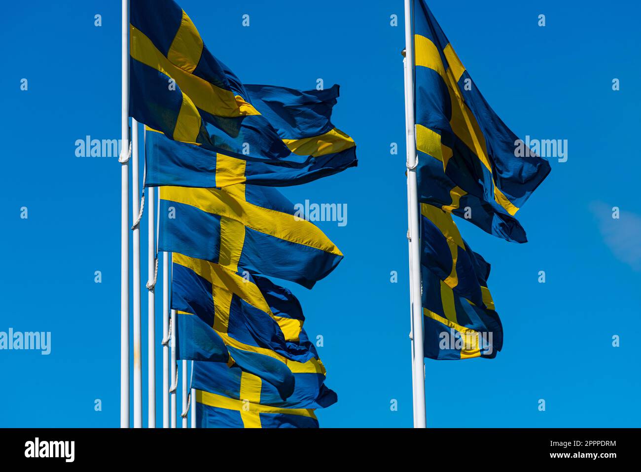 Several swedish flags flying on flagpoles Stock Photo - Alamy