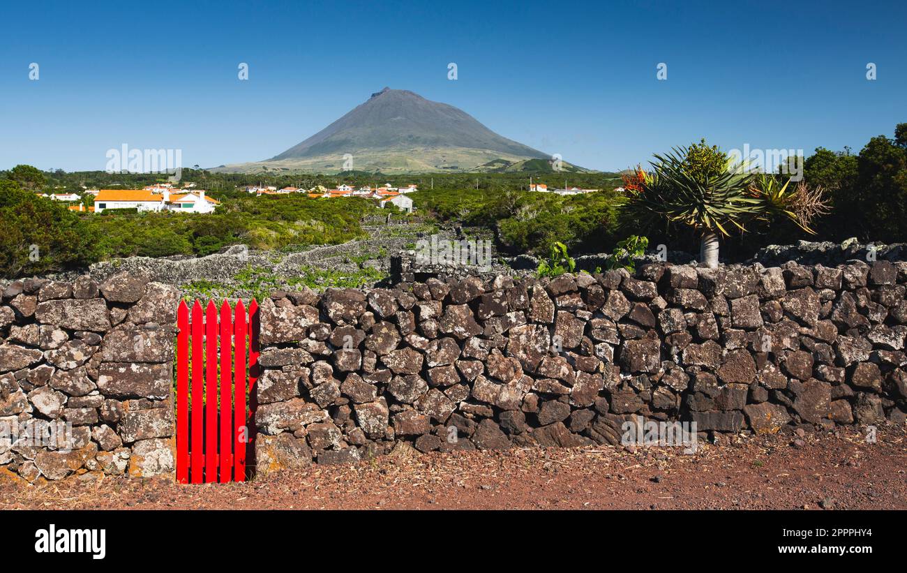 Mount pico with a small vineyard and a red door Stock Photo - Alamy