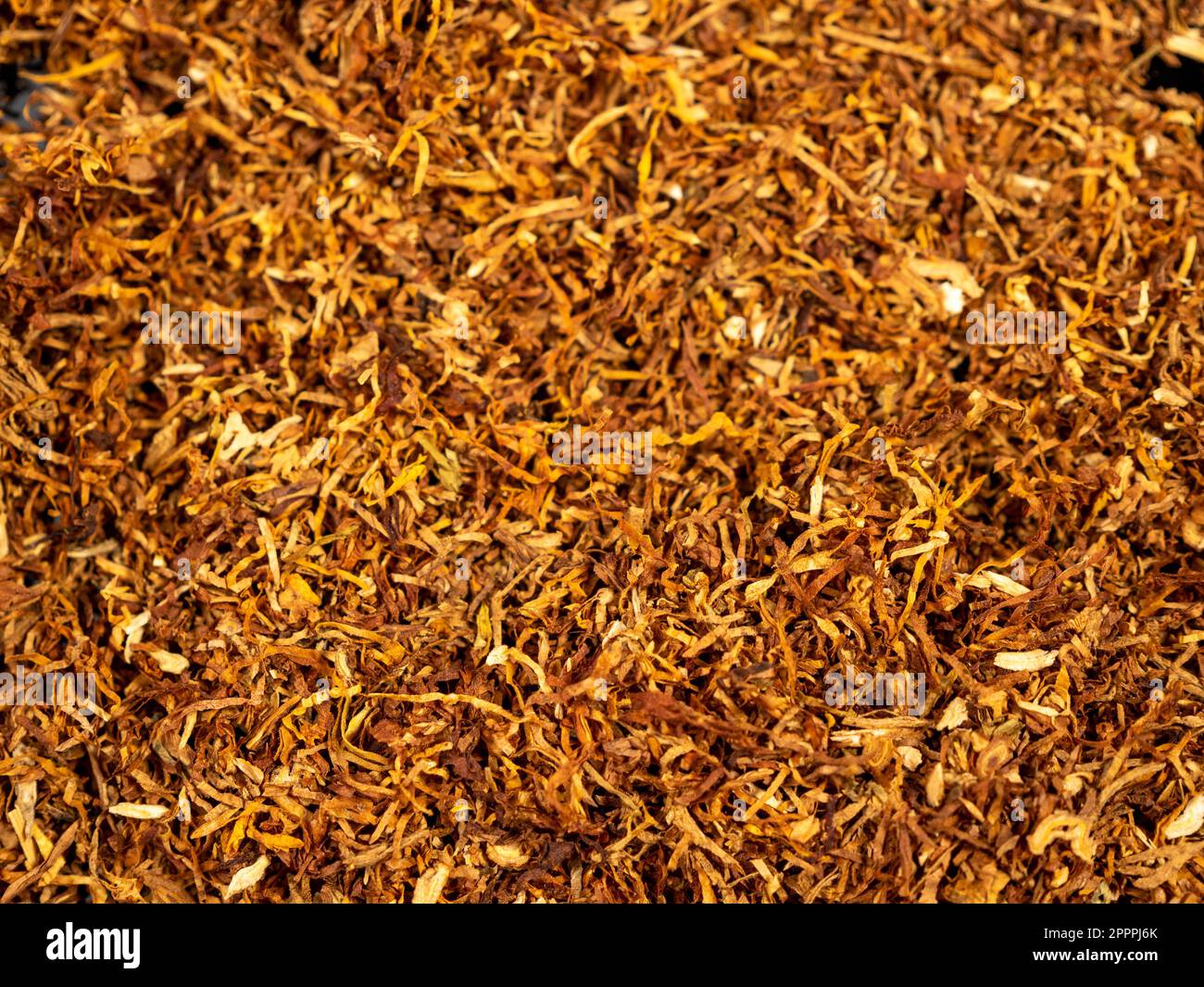 Dry smoking tobacco. Lots of smoking tobacco. Tobacco close-up Stock ...