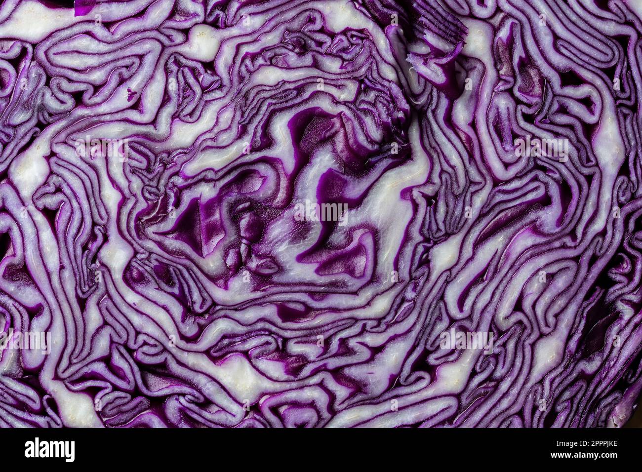Background of blue cabbage in a section, macro photography. Close up ...